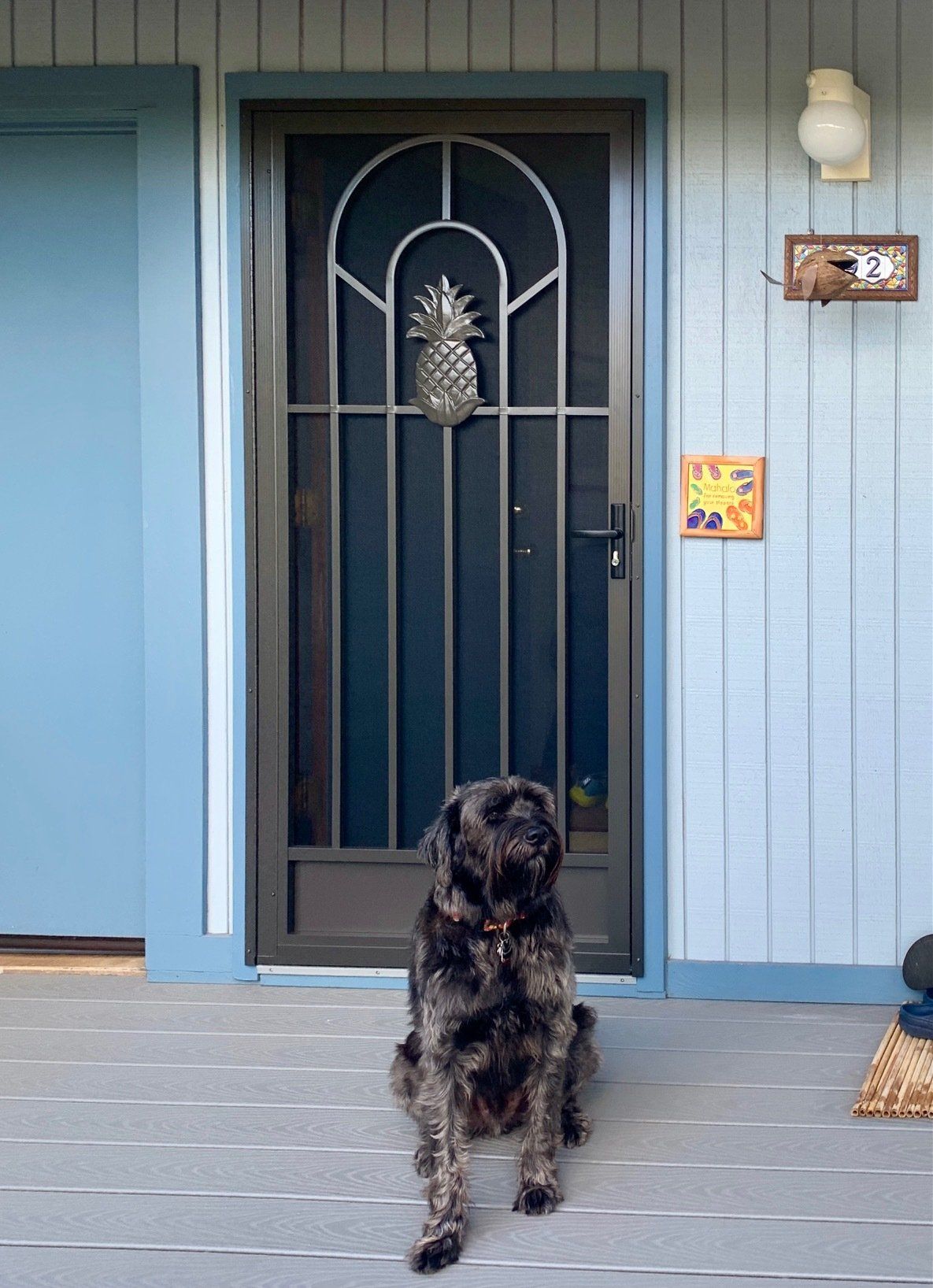 Portfiolio | Kahului, HI | Aloha Screen Doors