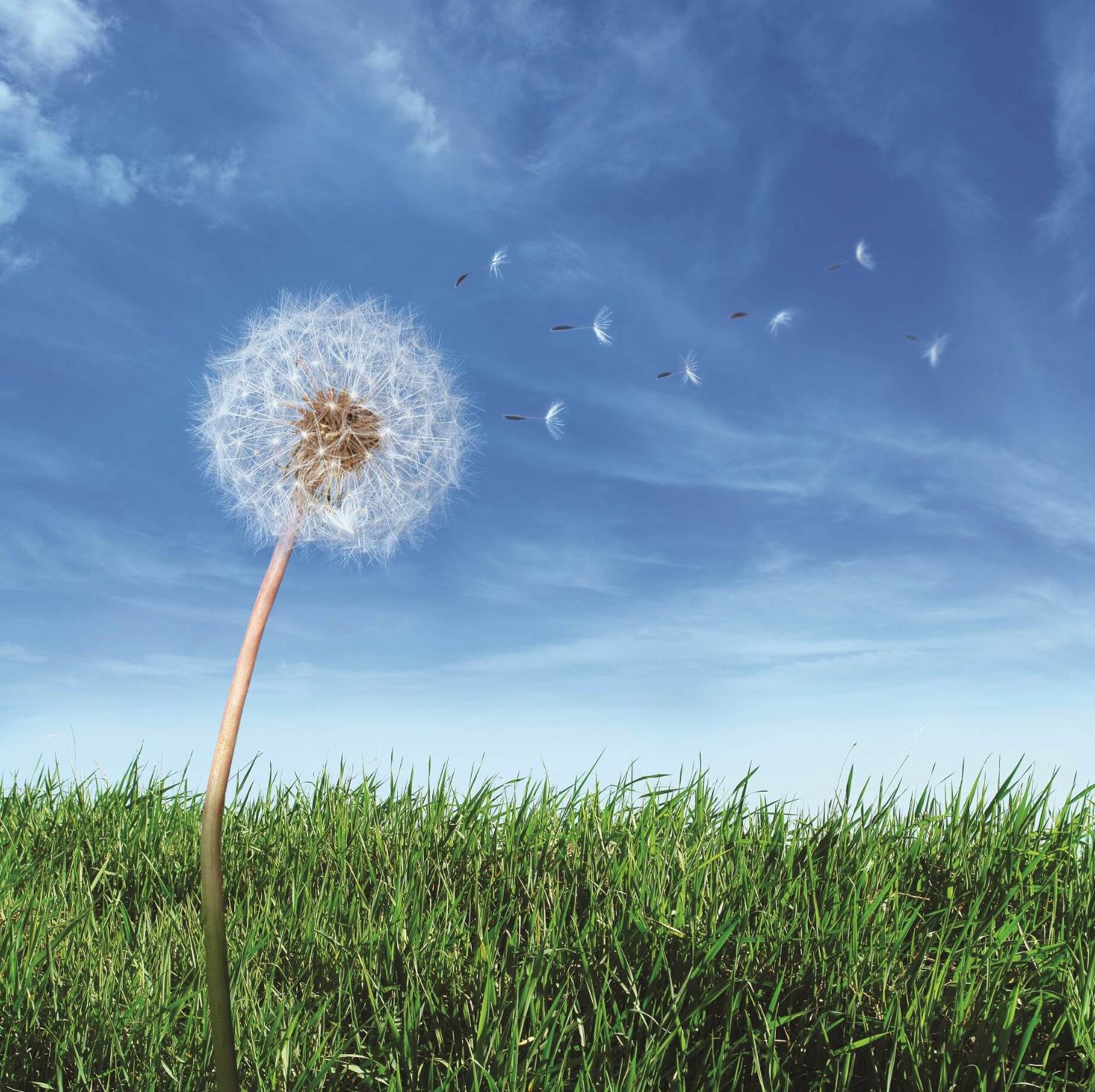 Conservation & Environment | The Friends of Broomfield Park | Palmers Green