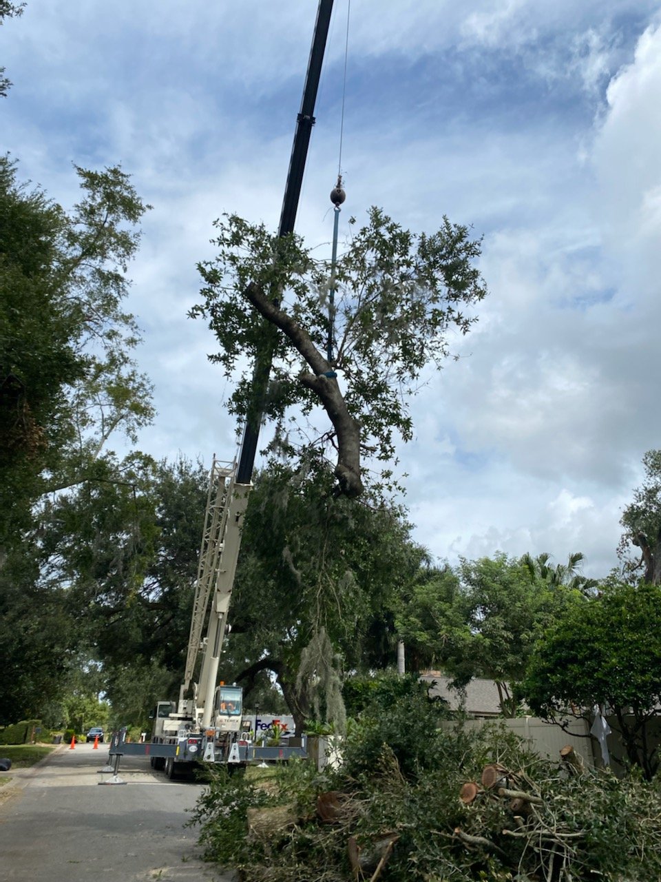 Tree Services – Merritt Island, FL – Redwine’s Tree Service