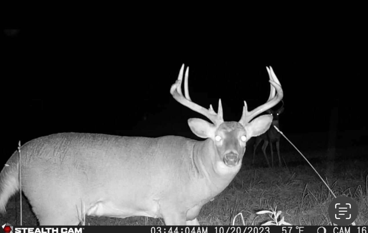 Ohio Whitetail Hunts | Sugar Creek Outfitters