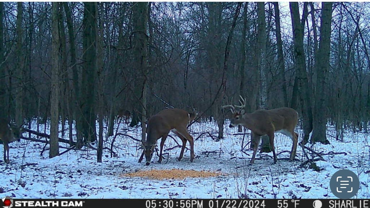 Ohio Whitetail Hunts | Sugar Creek Outfitters