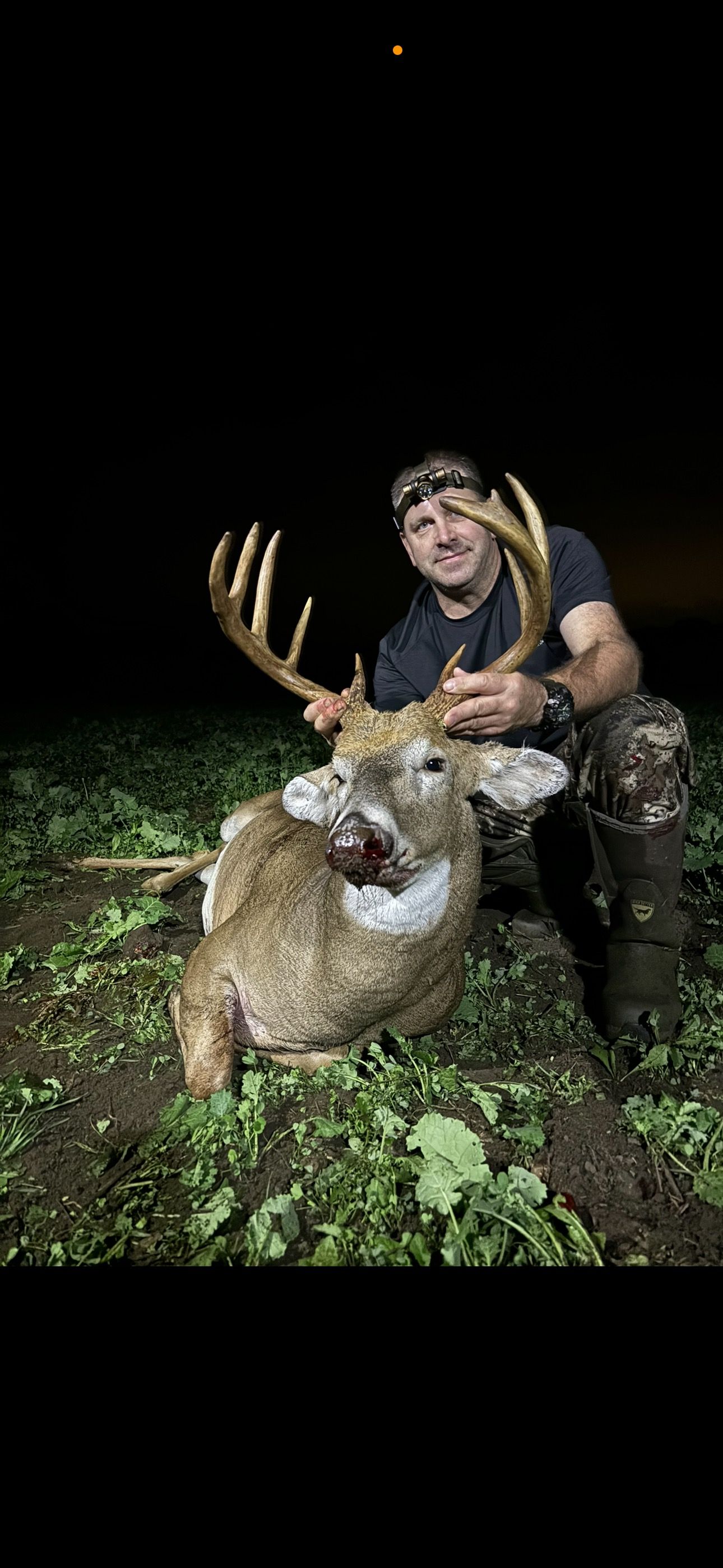 Ohio Whitetail Hunts | Sugar Creek Outfitters