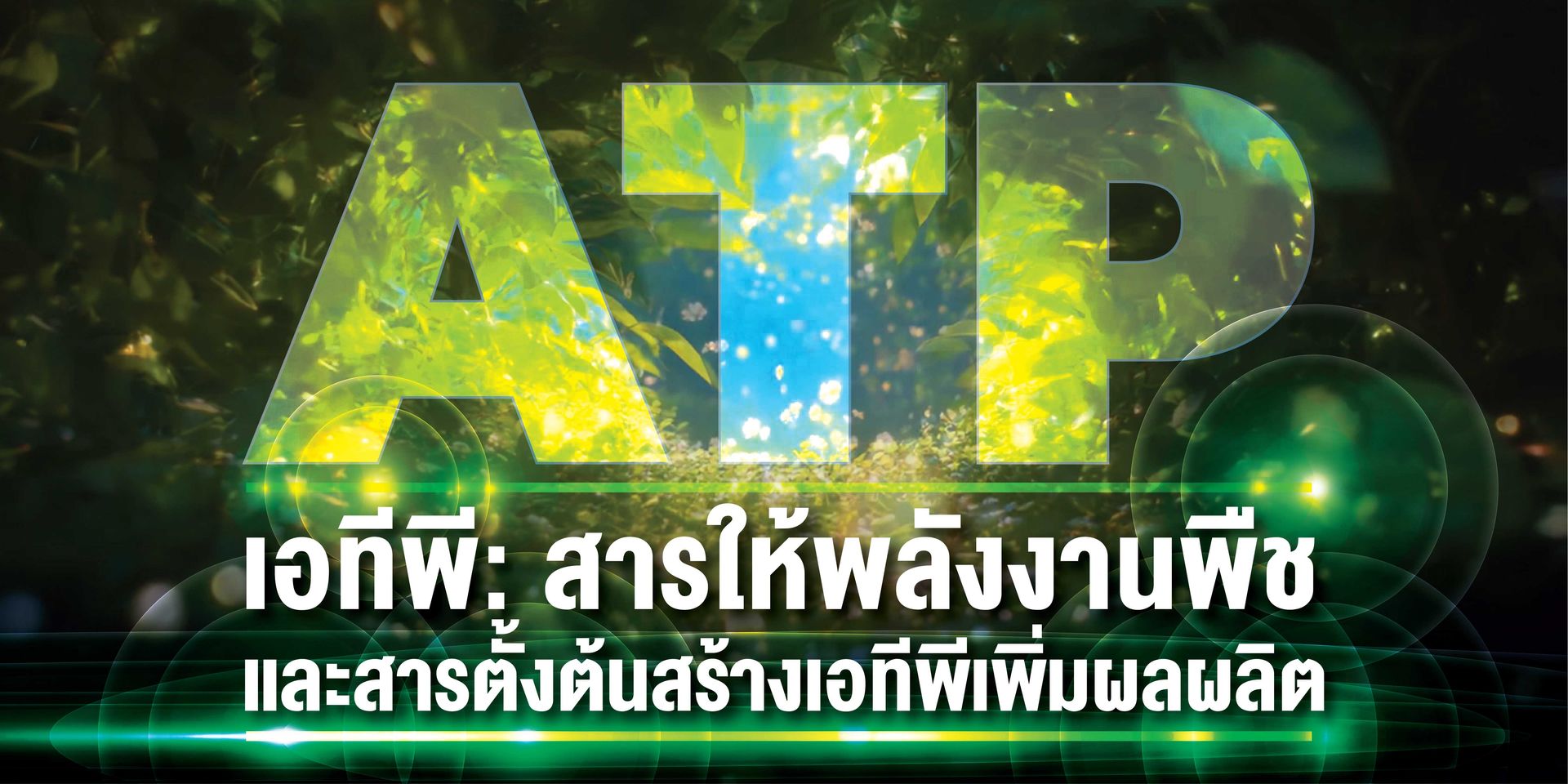 ATP สารให้พลังงานขับเคลื่อนพืช-เพิ่มผลผลิต