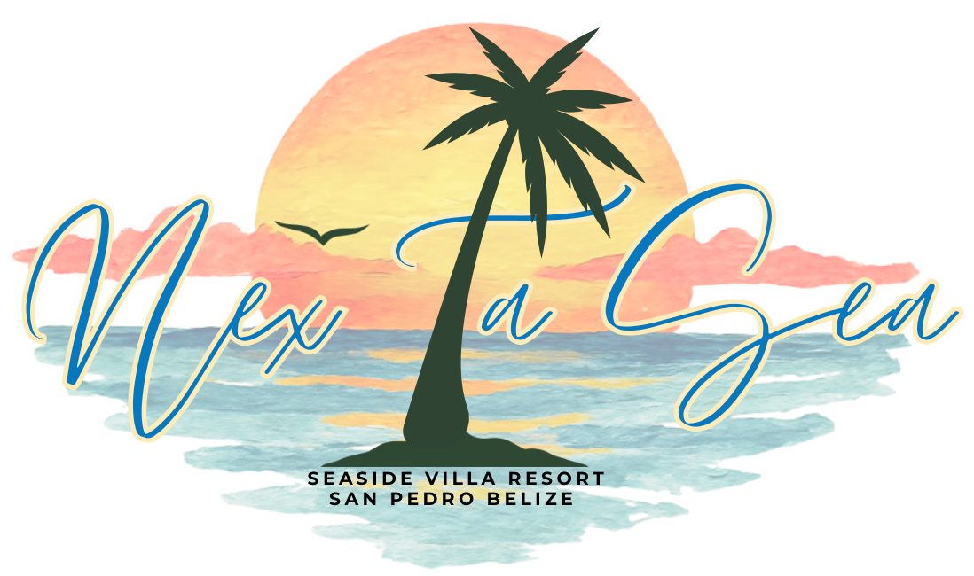 Premier Luxury House in Belize – Casa Next Ta Sea