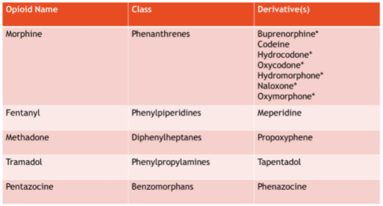 Opioids and Pain Management: Allergies, Conversions, Dysphagia, Oh My!