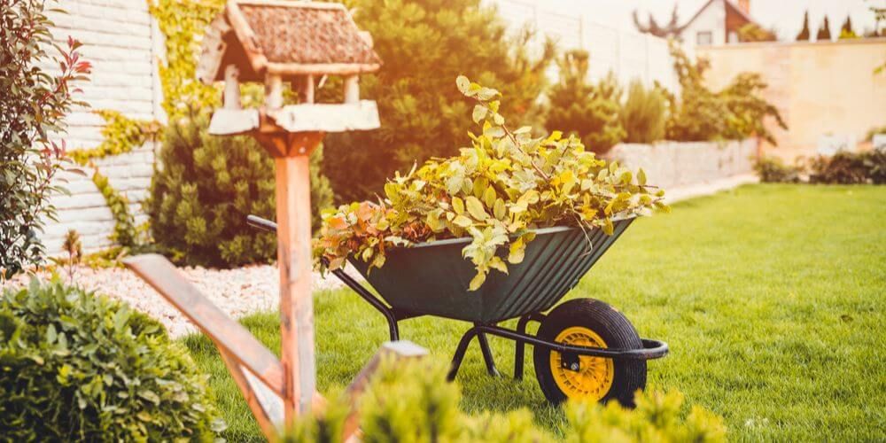 Top 10 Tips: How Do I Prepare My Garden For Winter?