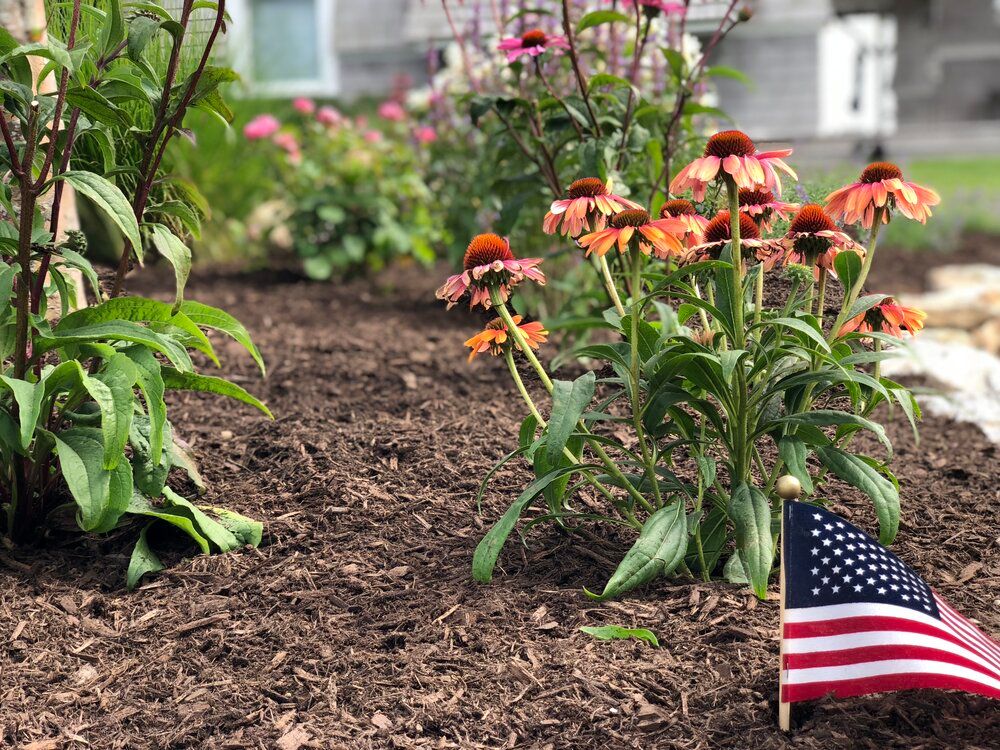 Softscape Installation | Expert Contractors – Landtech Scenery