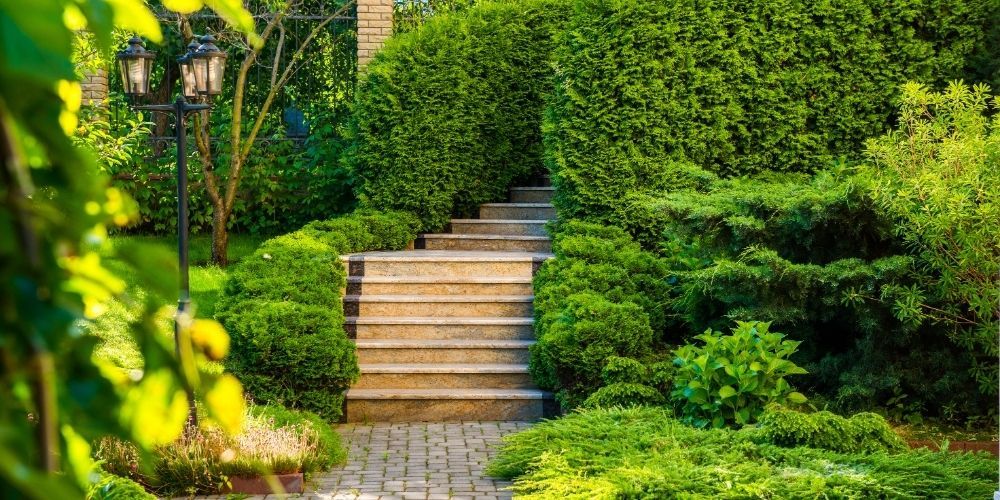 How to Find Balance in Your Landscape Design