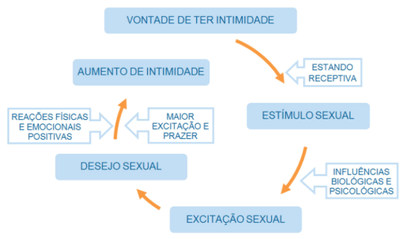 Ponto G Feminino Existe