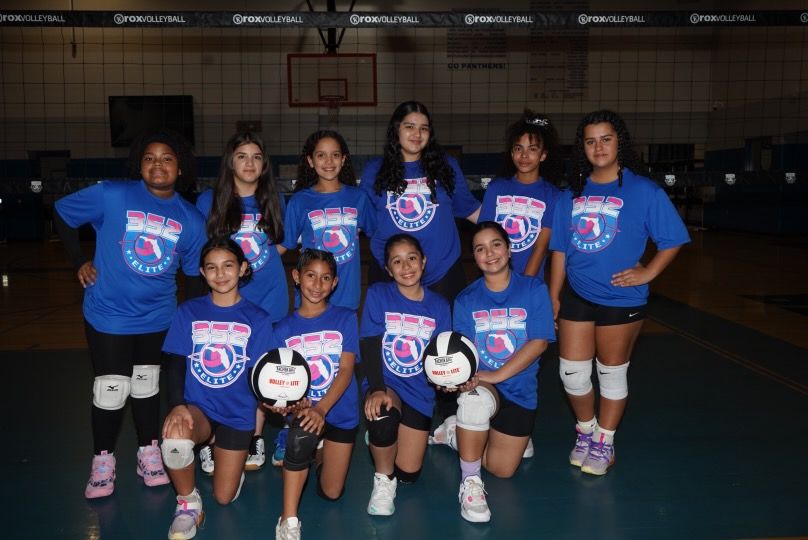 352 Elite Volleyball