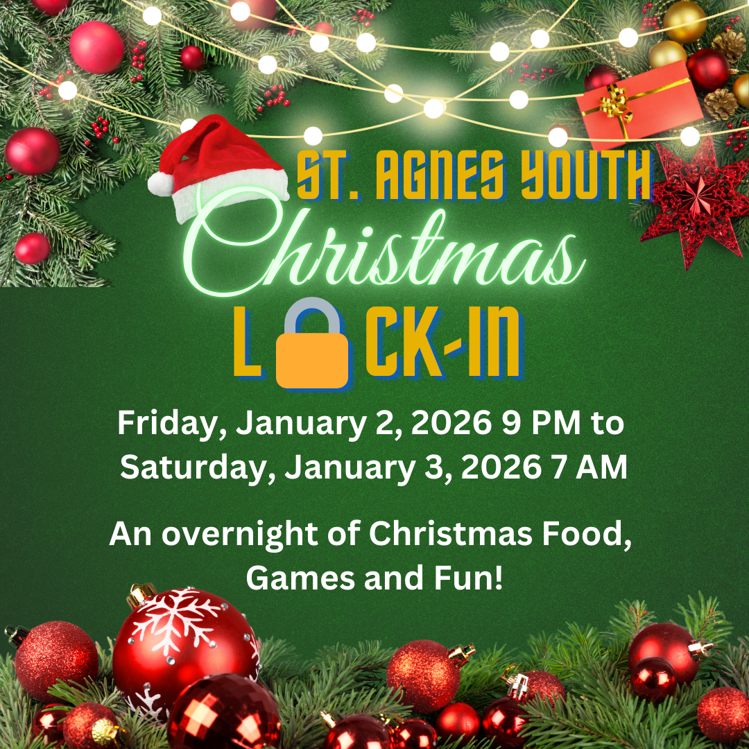 Home [stagnesmi.com]