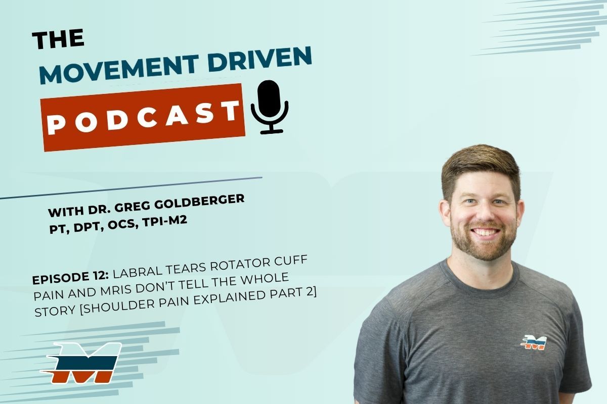 Shoulder Pain Part 2 Labral Tears and Rotator Cuff Basics