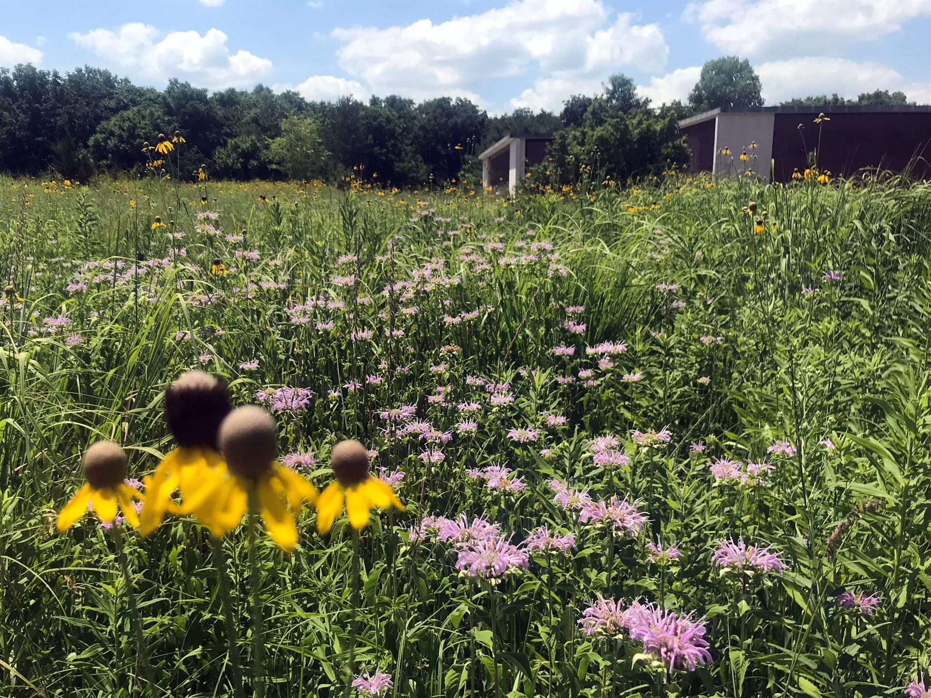 Our Cemetery | Green Lawn Cemetery