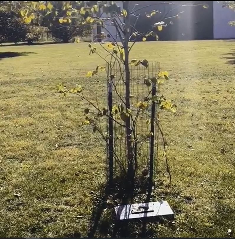 Green Options | Green Lawn Cemetery