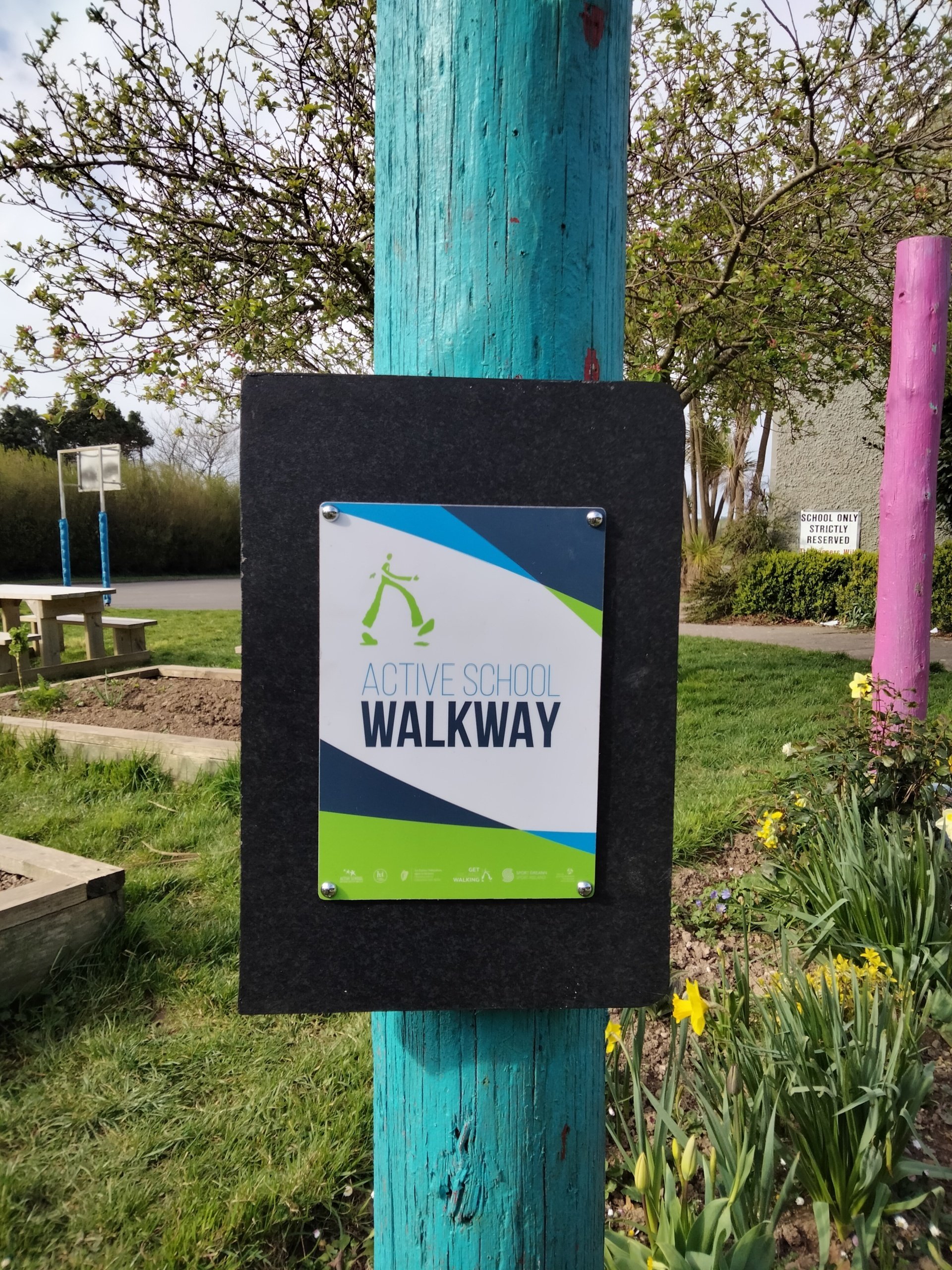 Our School Walkway