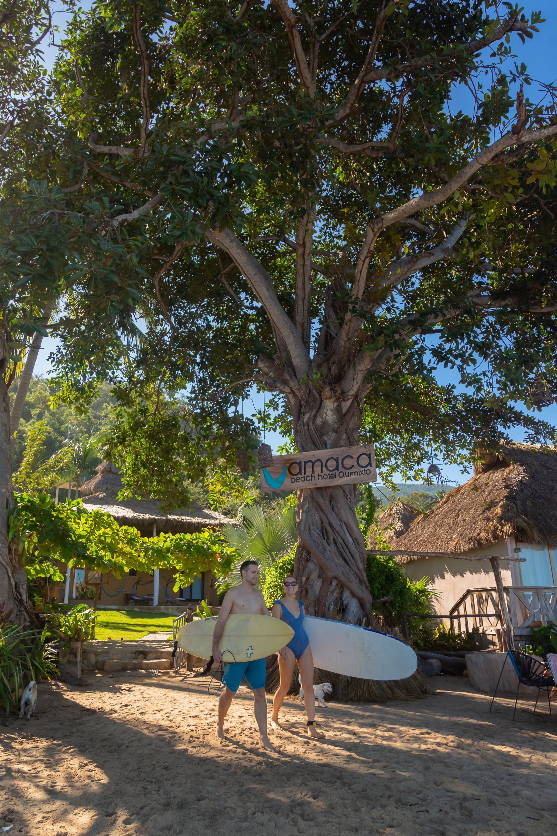 AMACA Beach Hotel Quimixto : Rodéate del Mar y Tranquilidad