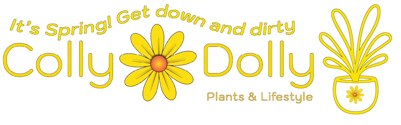 Colly Dolly Plants and lifestyle