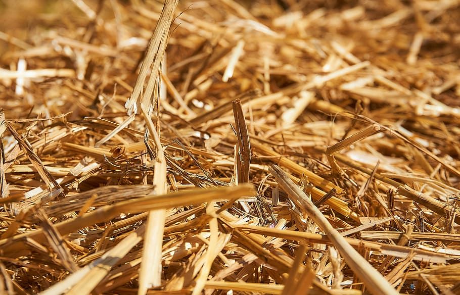 Landscaping Straw | Rome, GA | Willow Creek Landscape Supply