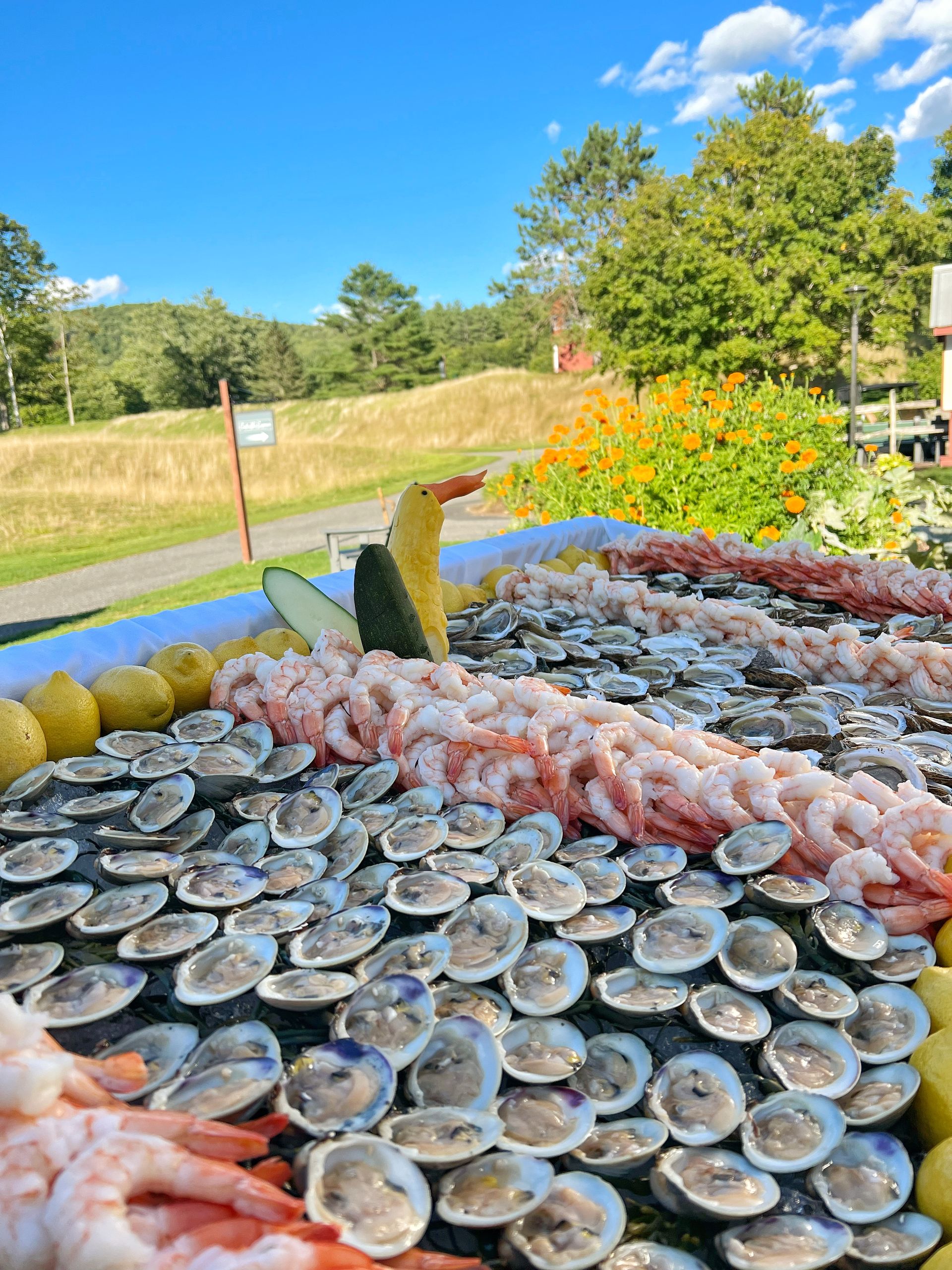 Calcuttas at Fox Run Golf Club | Ludlow Vermont