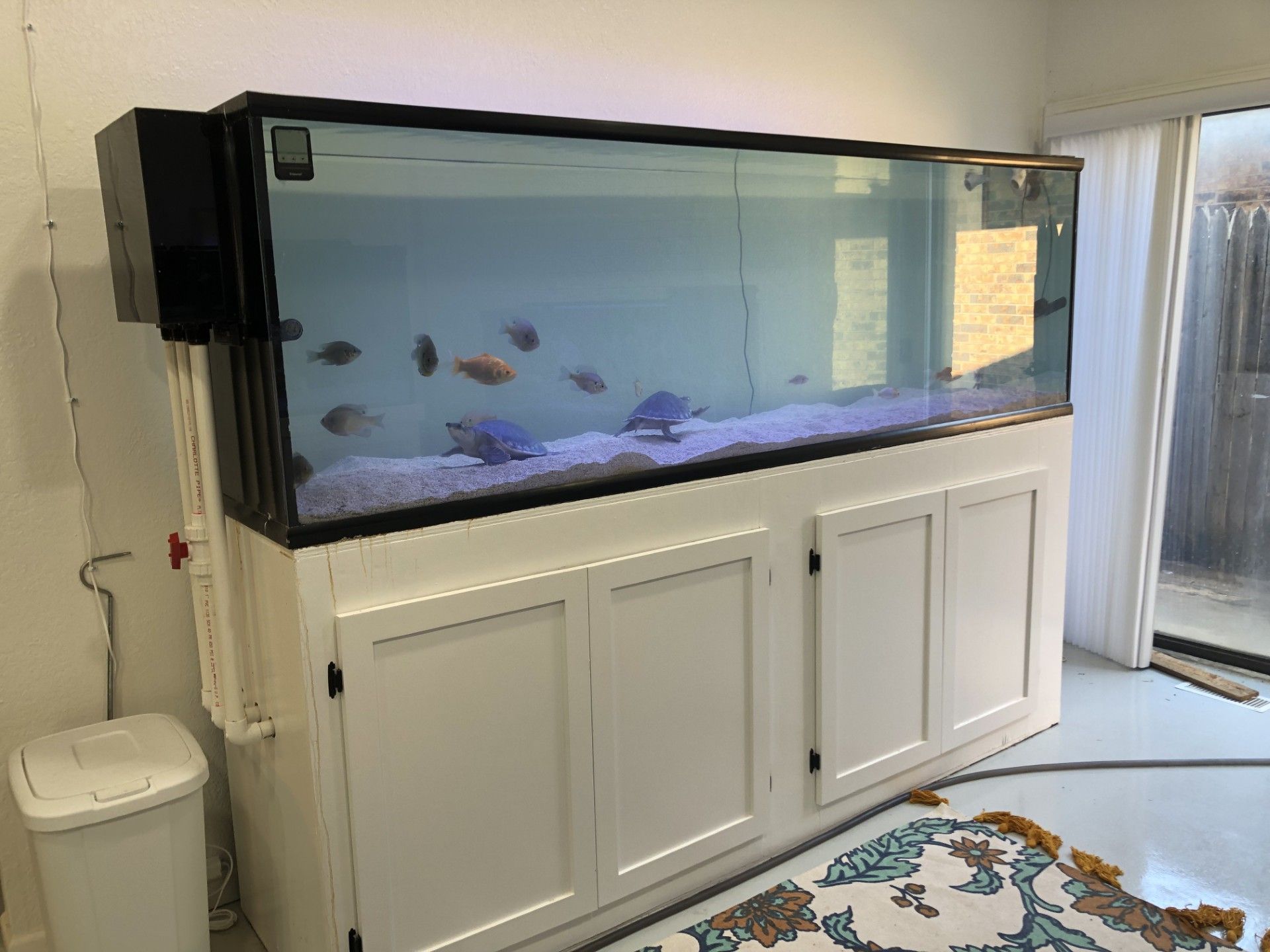 Stunning Freshwater Aquarium Designs | Edmond, OK | Aqualife