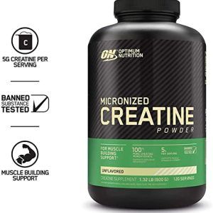 Buy Micronized Creatine Powder in Melbourne - #1 Optimum Nutrition