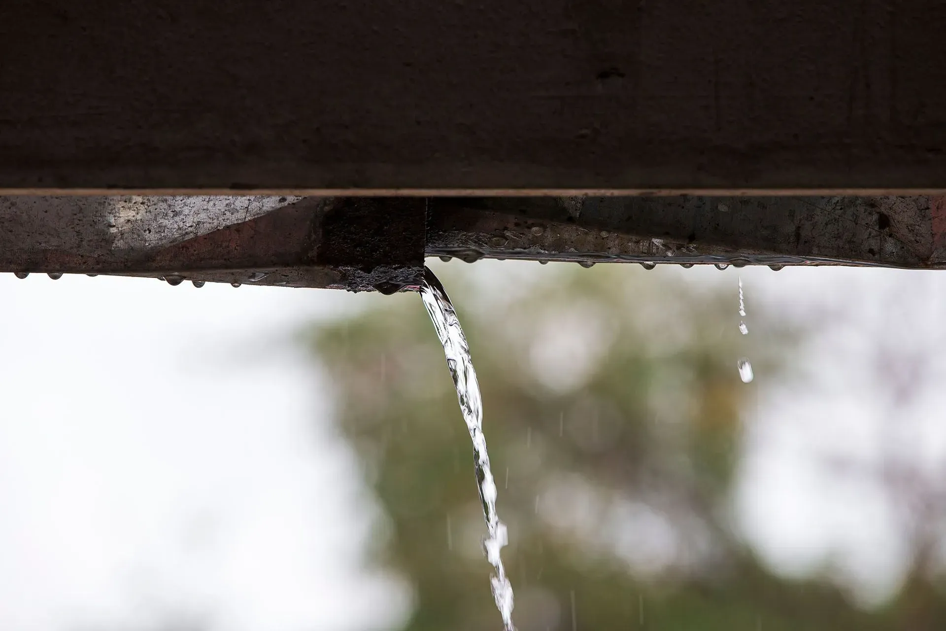 Gutter Overflow Recognising Common Signs Causes And Solutions