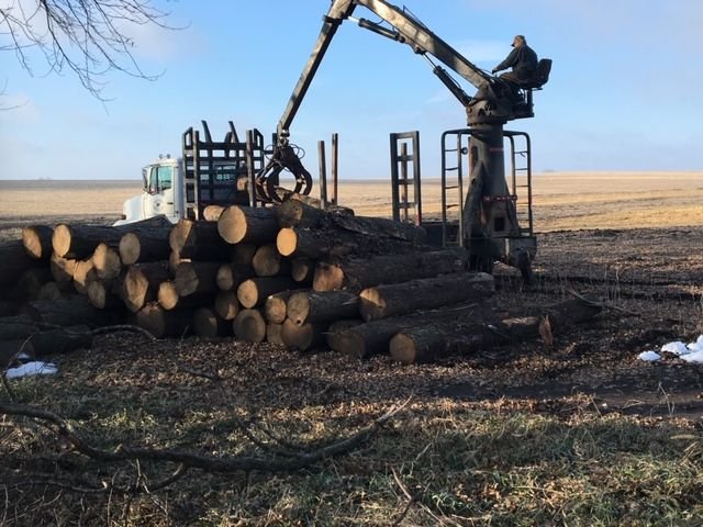 Fischer Sawmill & Tree Buying | Home