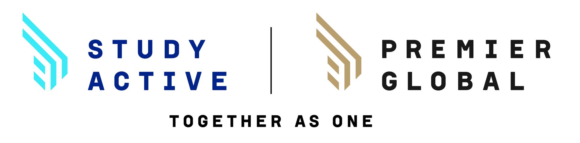 Online Personal Training Course