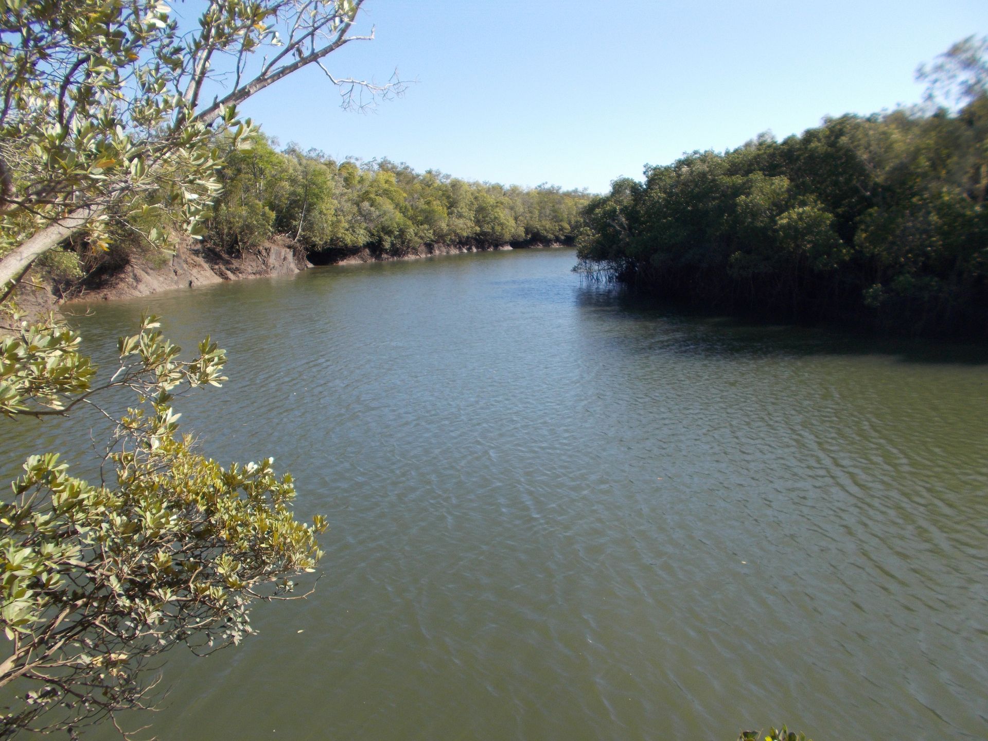 The Path of Cyclone Tracy