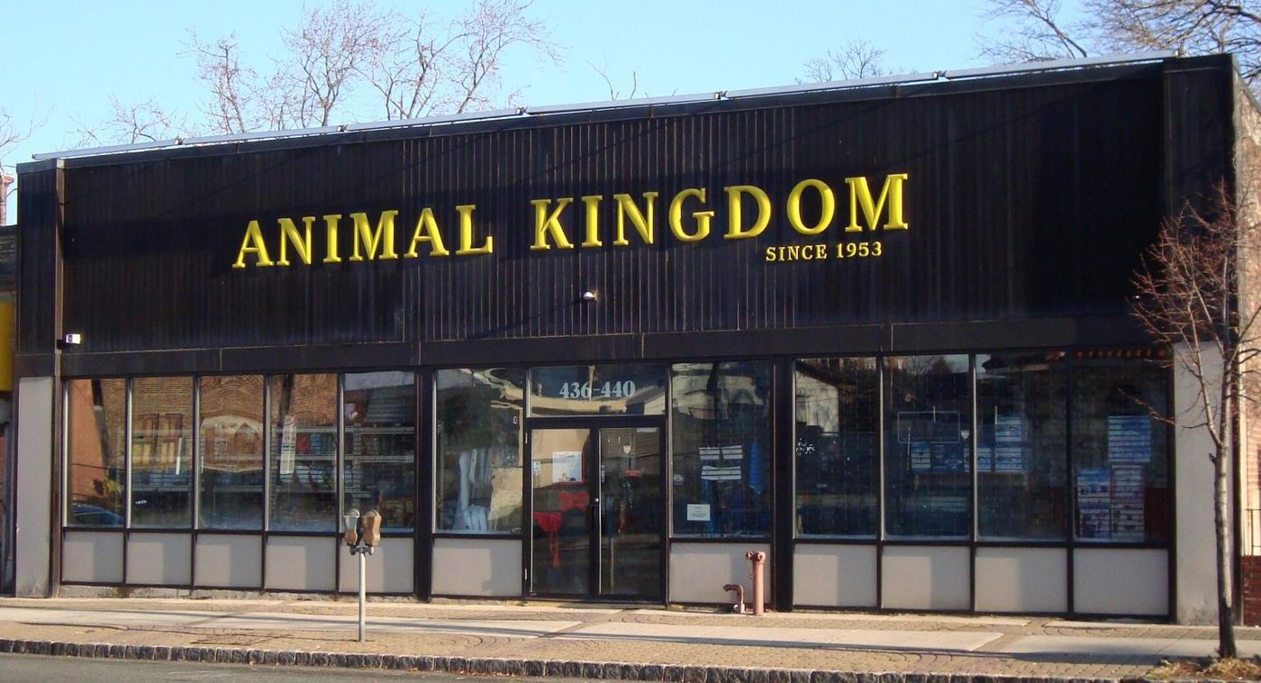 Pet Store & Supplies | Animal Kingdom | Orange, NJ 07018