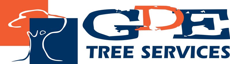Tree Removal in Belmont | Lopping and Trimming | GDE