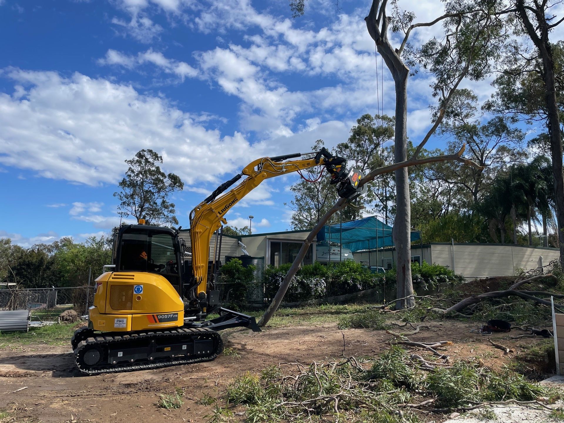 Tree Removal in Aspley | Lopping and Trimming | GDE