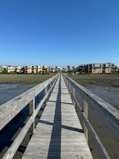 Boating Tour Photos | Murrells Inlet, SC | Diamond