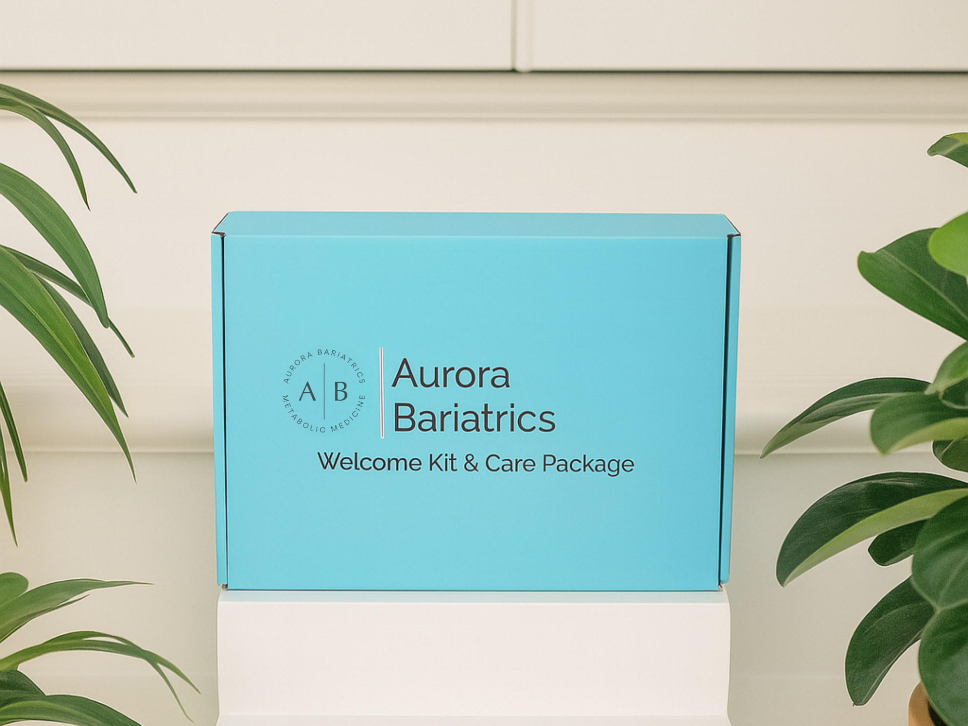 What’s Inside the Aurora Box?