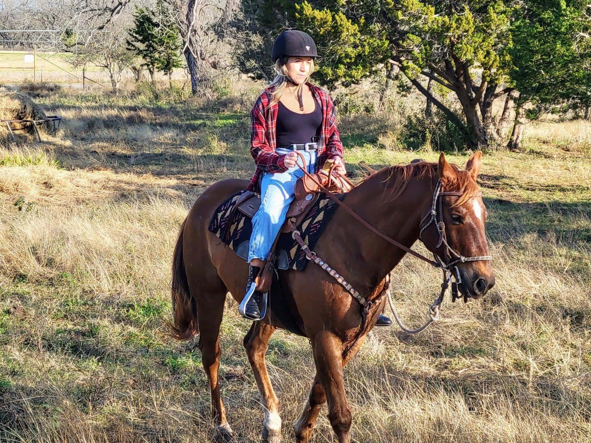 Home [www.texashorseadventures.com]