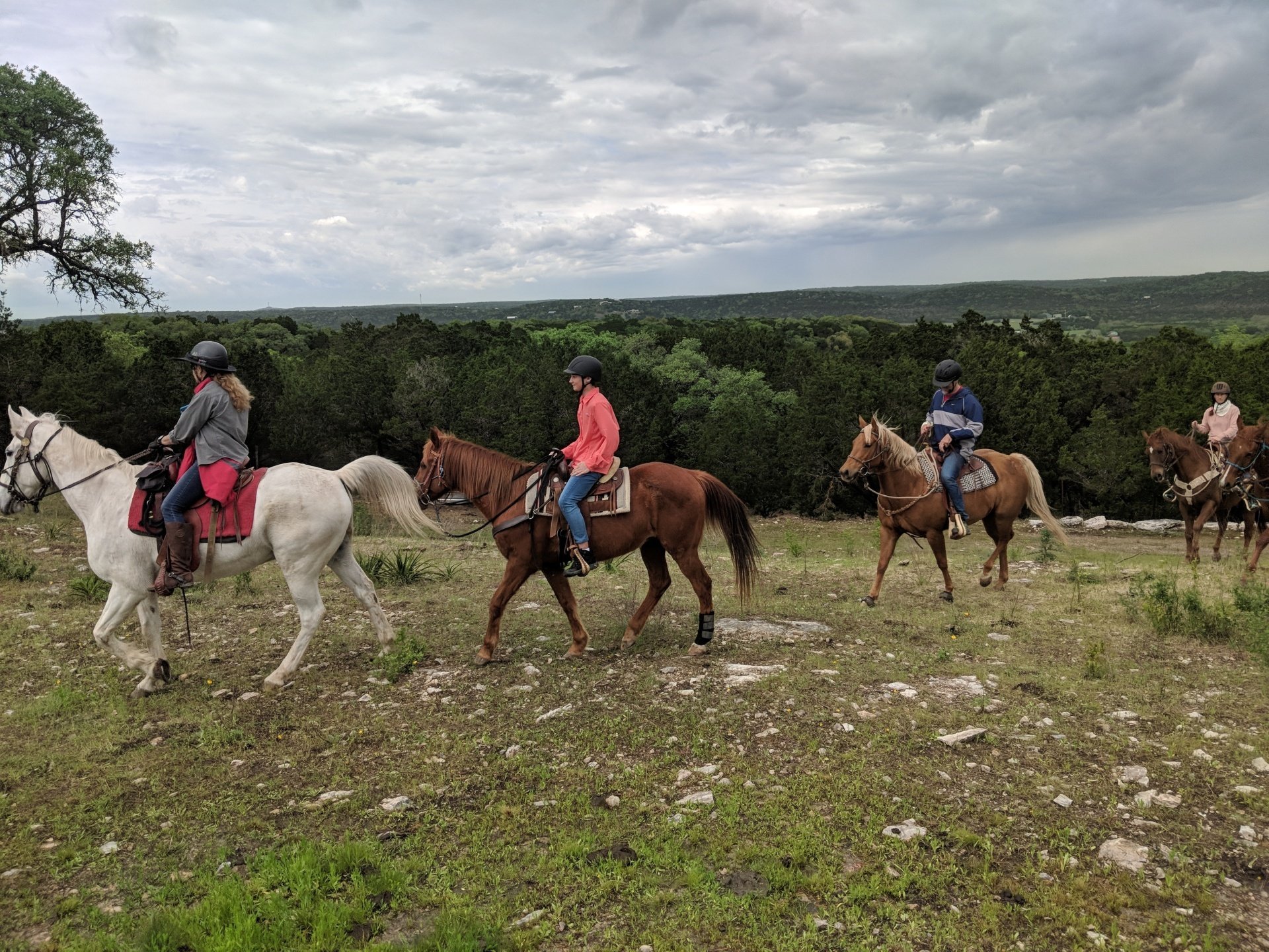 Home [www.texashorseadventures.com]