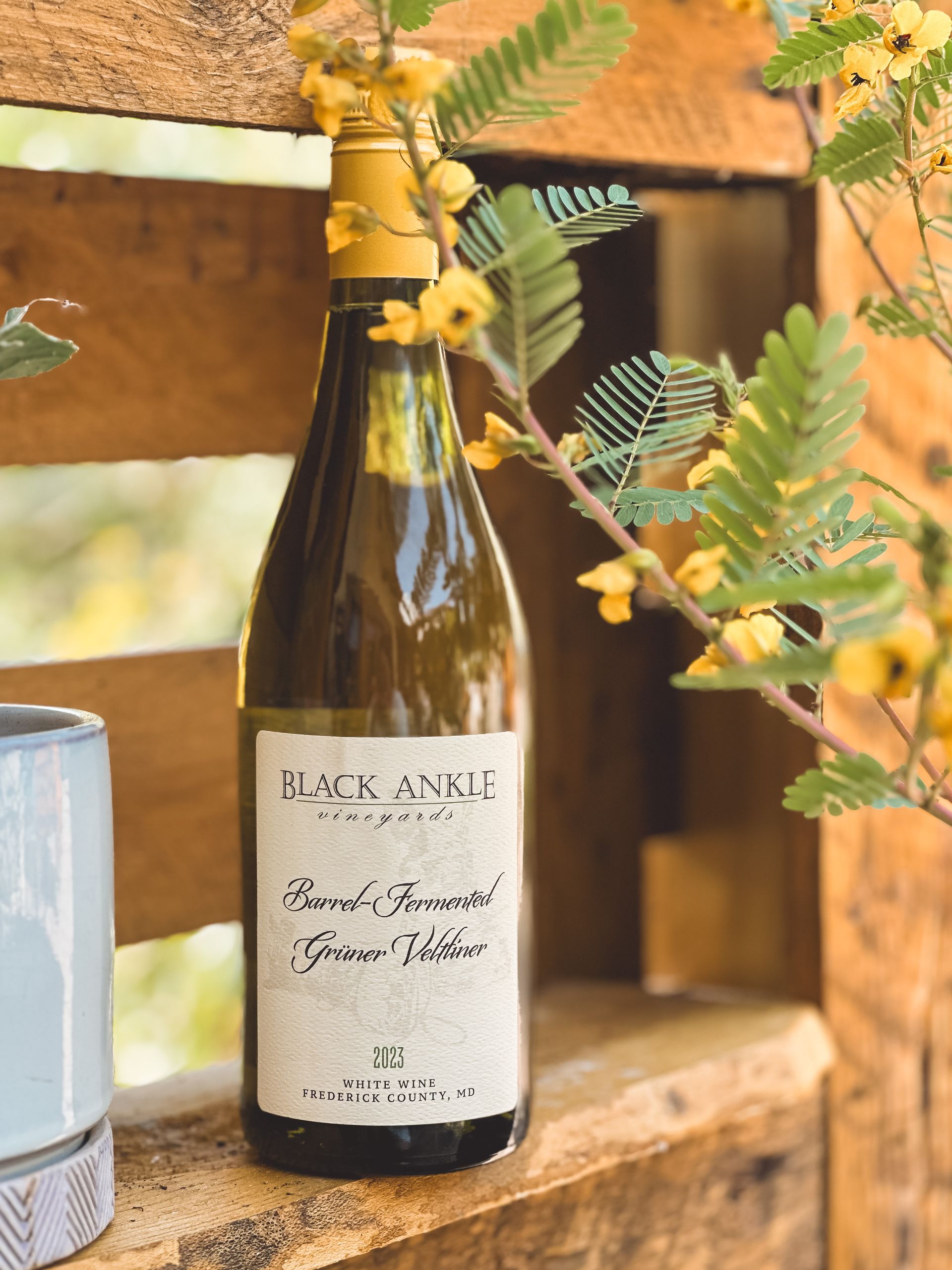 Our Wines | Maryland Red & White Wines | Black Ankle