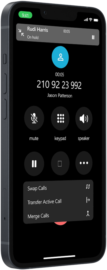 Unify Phone Cloud, nachfolger myPortalToGo