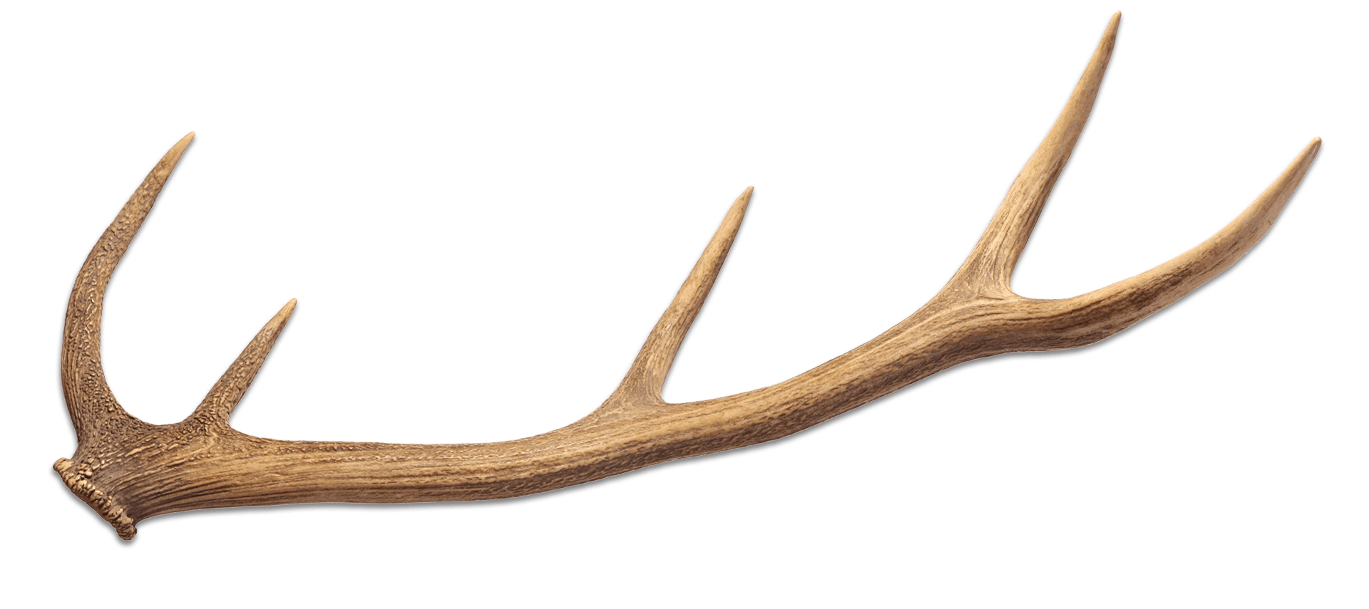 Terry Wilson Antler Designs | Hand Crafted Antler Chandeliers & Furniture