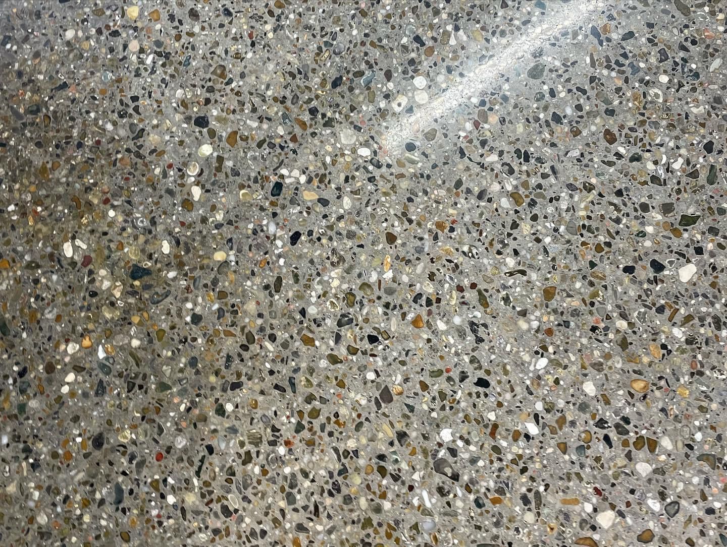 Home | Concrete Adventures | Decorative Concrete Services