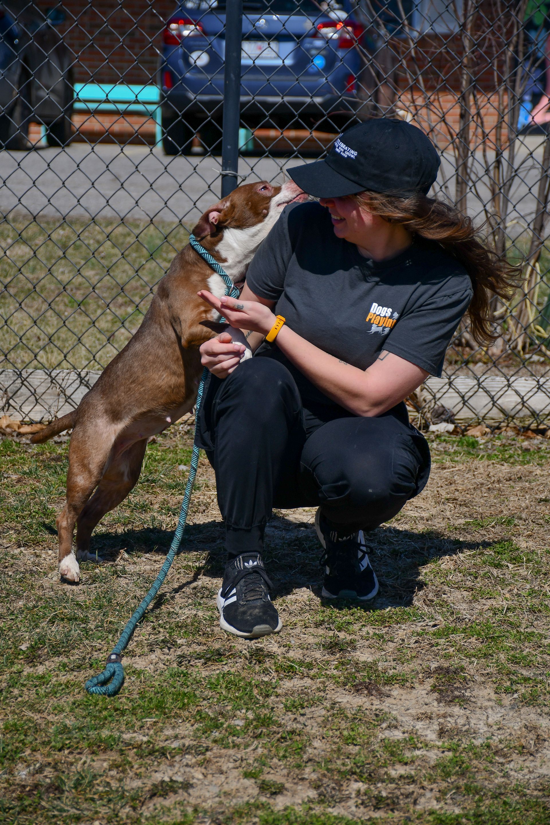 Southeast Missouri Pets Adoption Center