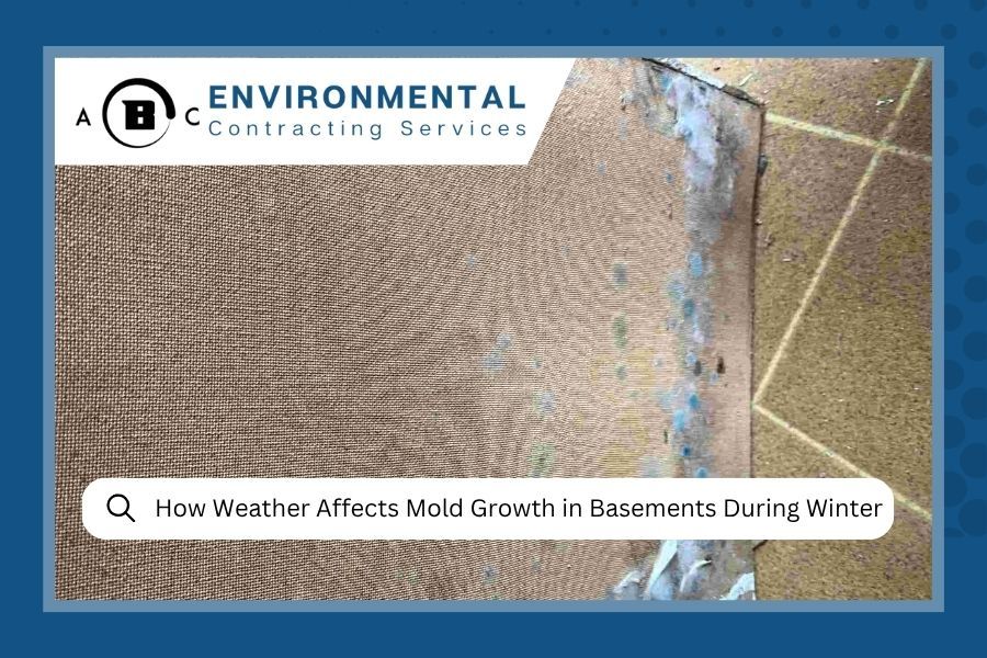 How Weather Affects Mold Growth in Basements During Winter