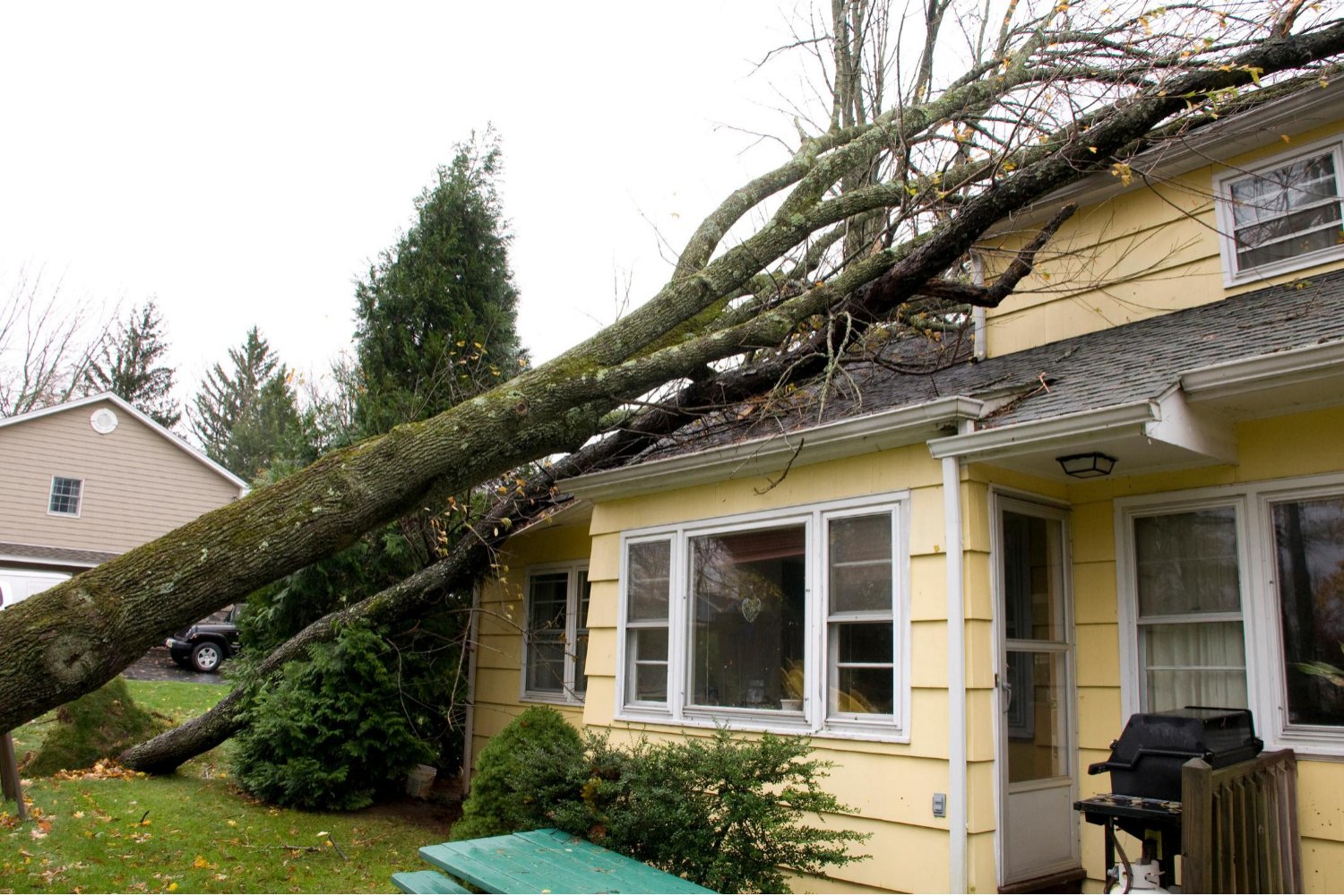 Storm Damage Cleanup: 4 Emergency Steps