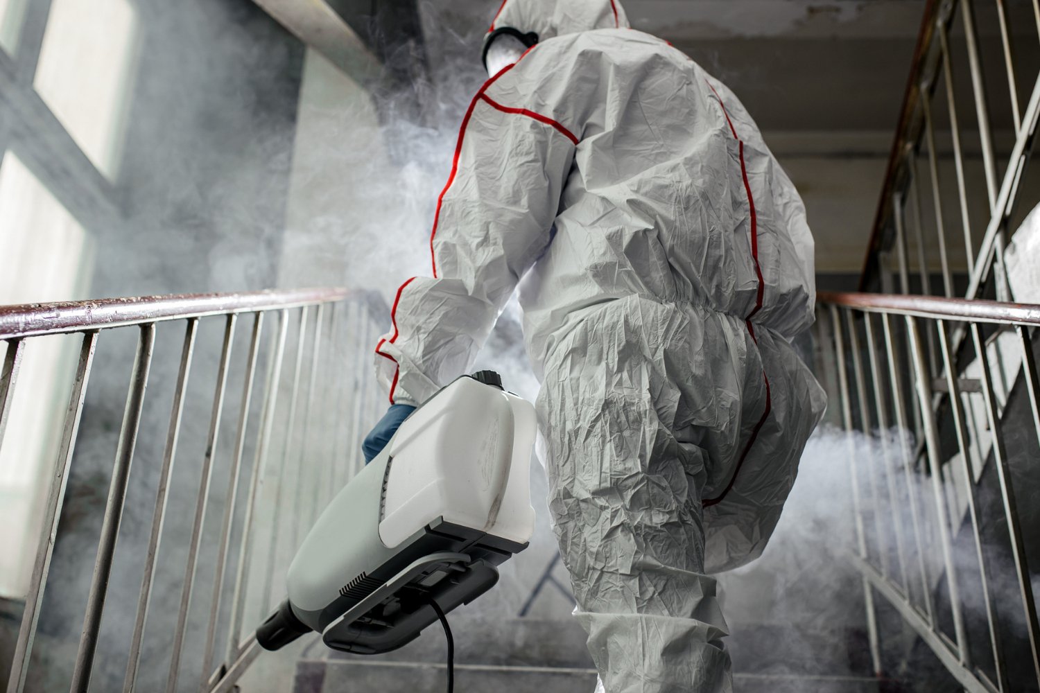 Mold Remediation Process 101