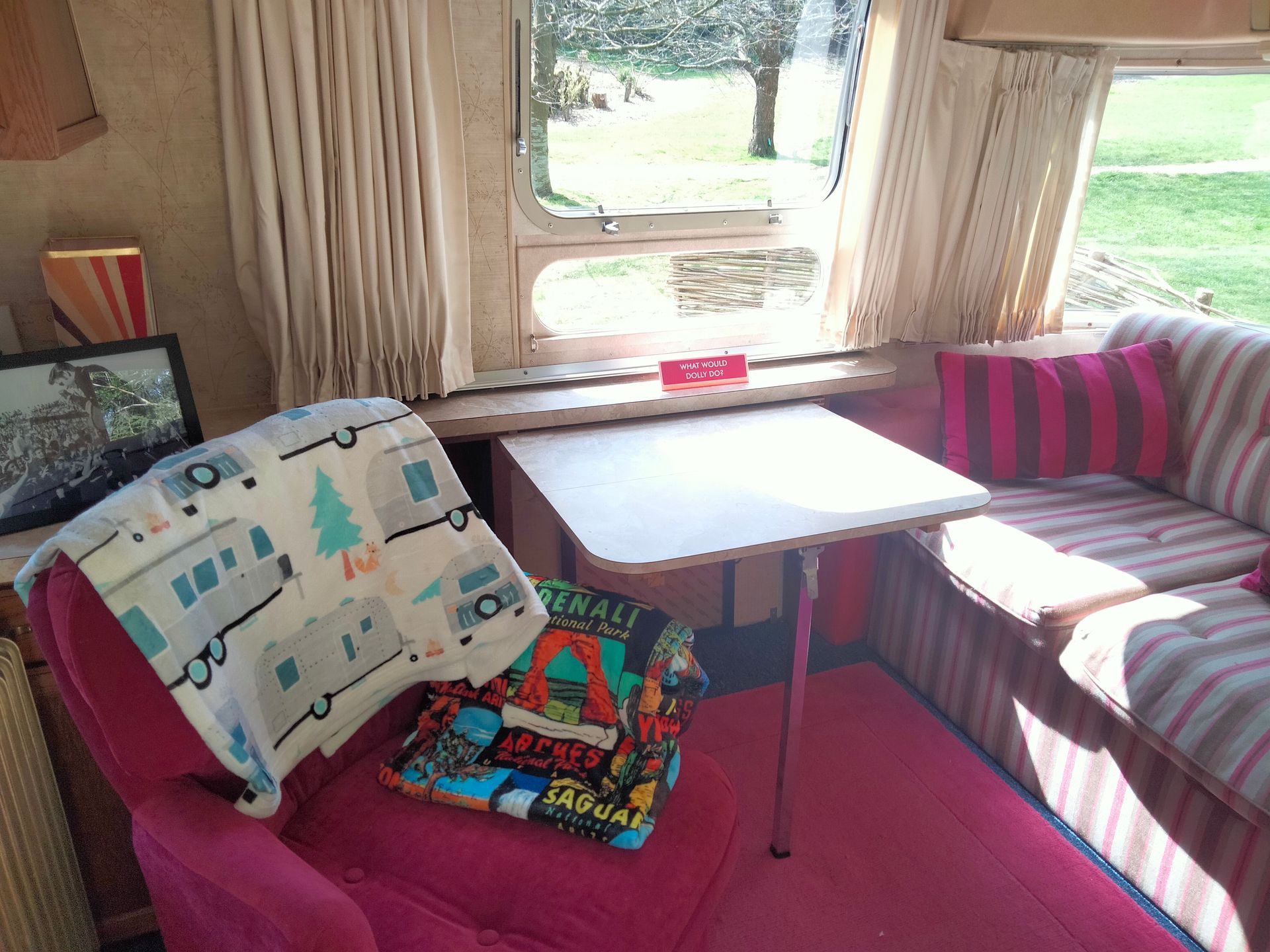 Glamping, Tree Houses and Camping