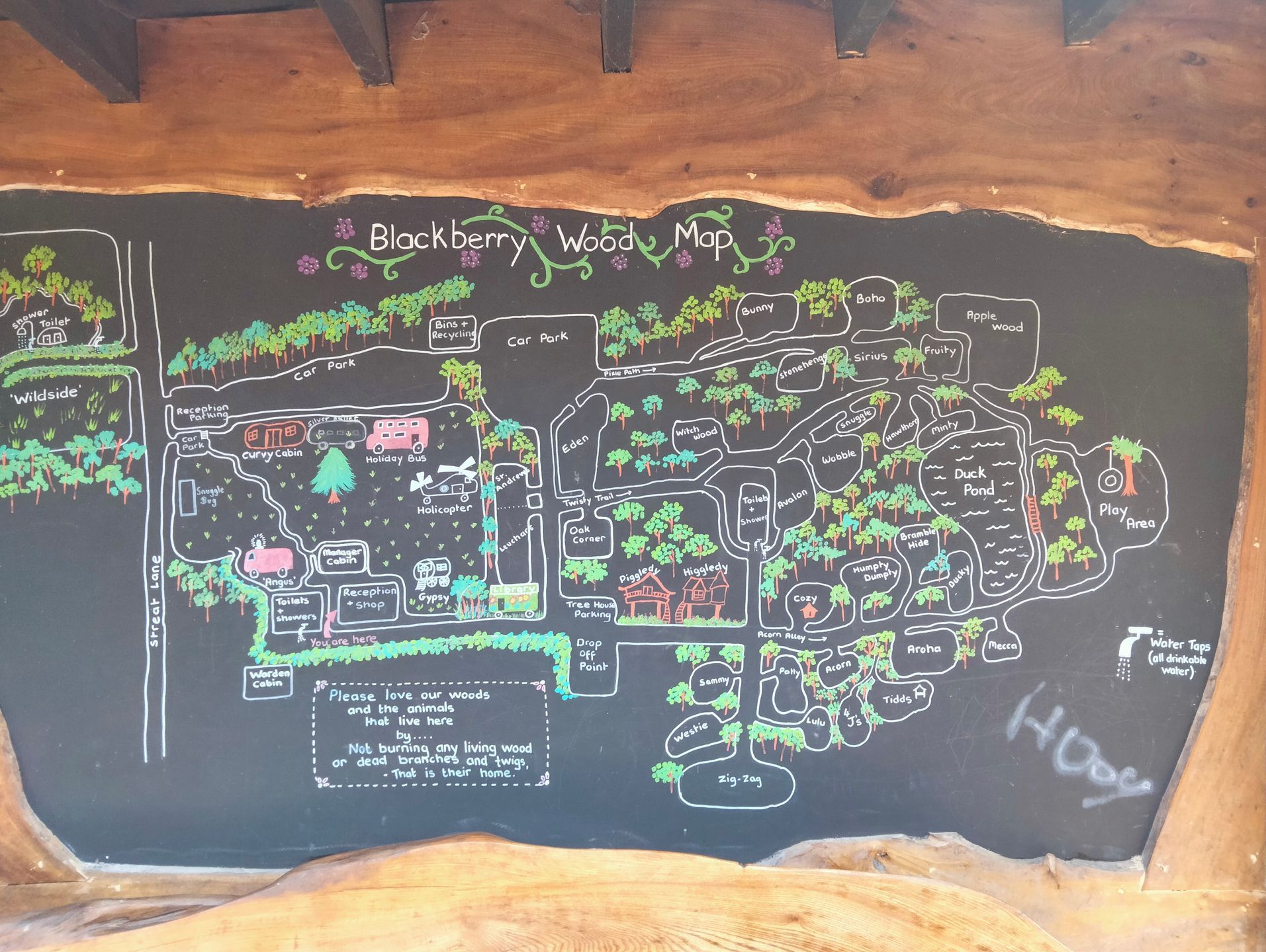 Glamping, Tree Houses and Camping