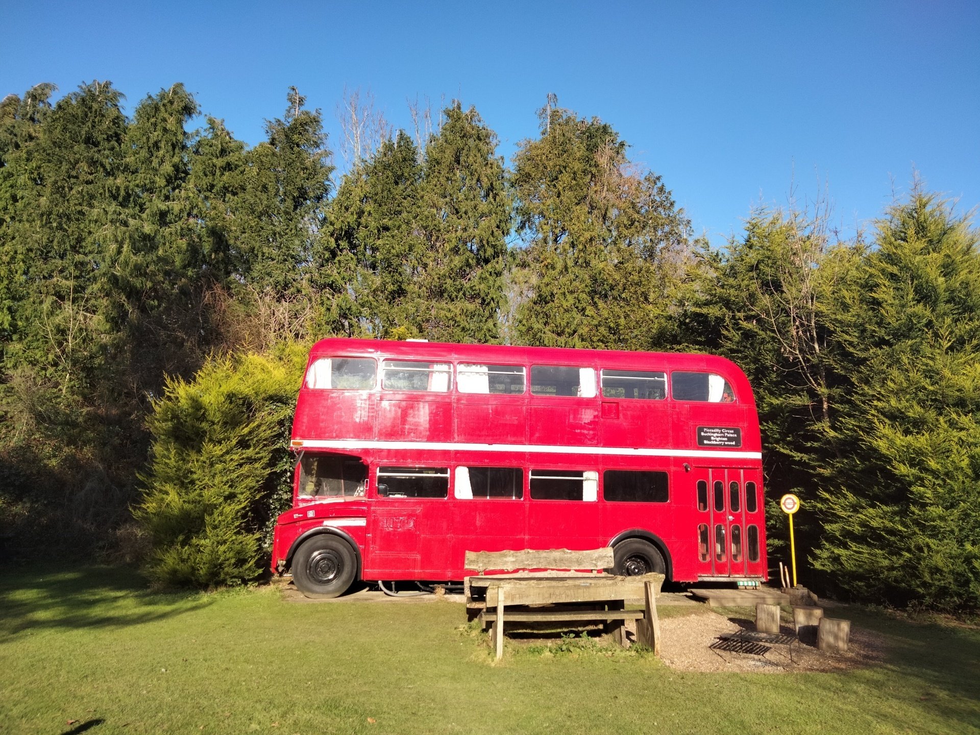 Glamping, Tree Houses and Camping