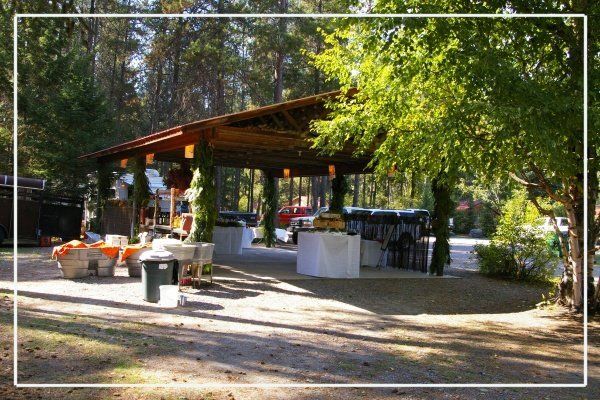 Accommodations in West Glacier, MT | Lake Five Resort