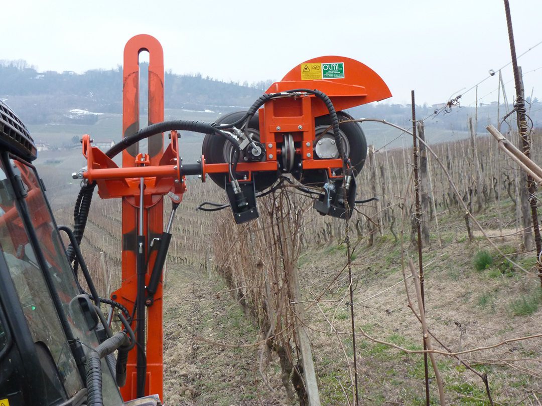 Mechanical vine stripper