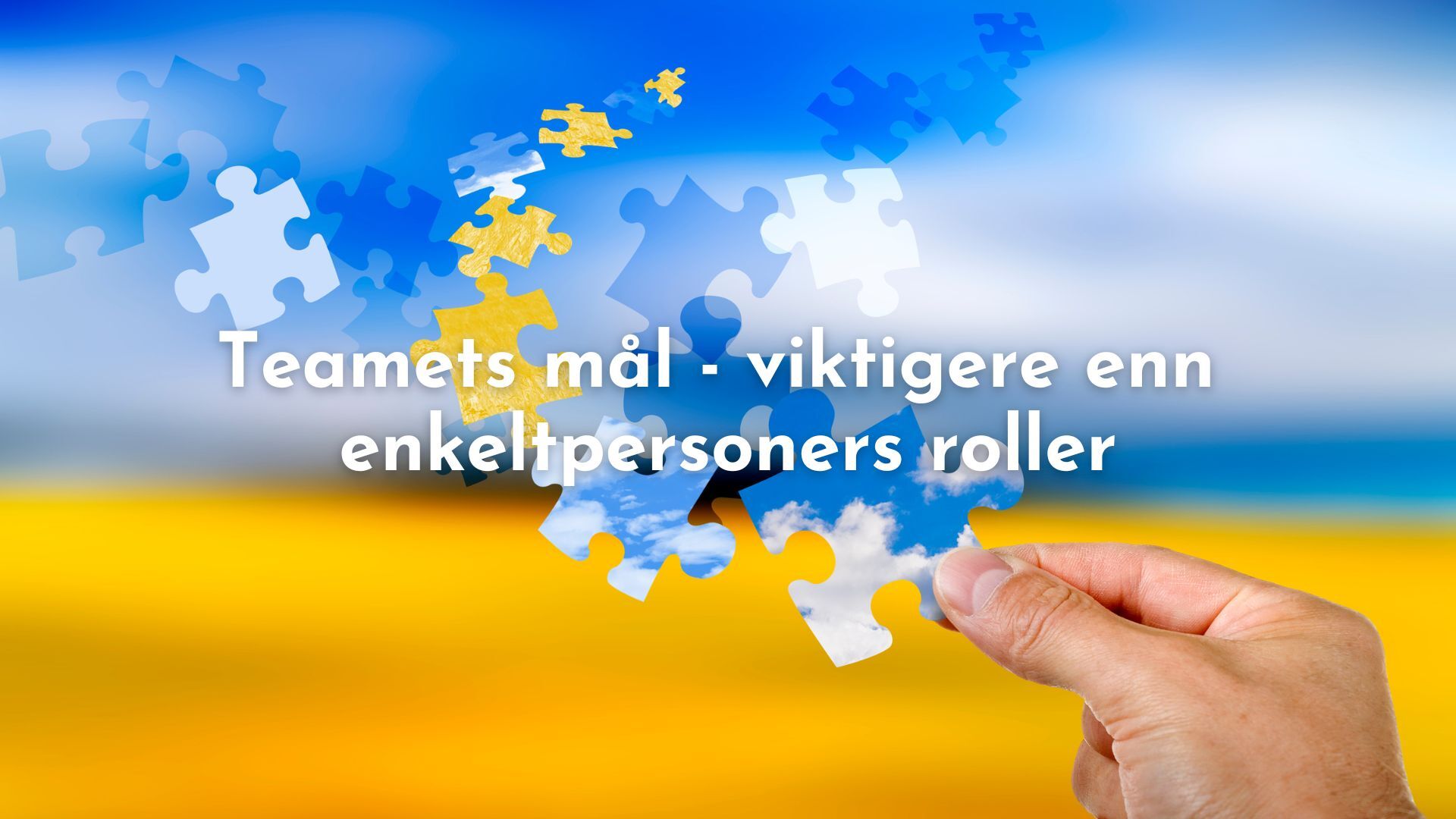 Teamets mål – viktigere enn enkeltpersoners roller